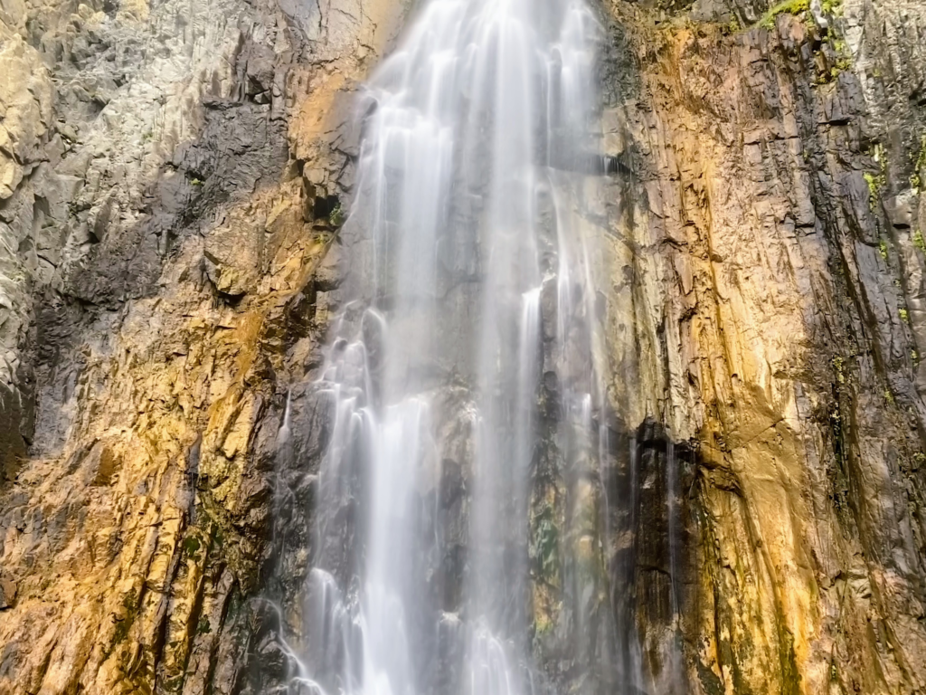 Grounding Values - The Science - The Grove Learning Collective